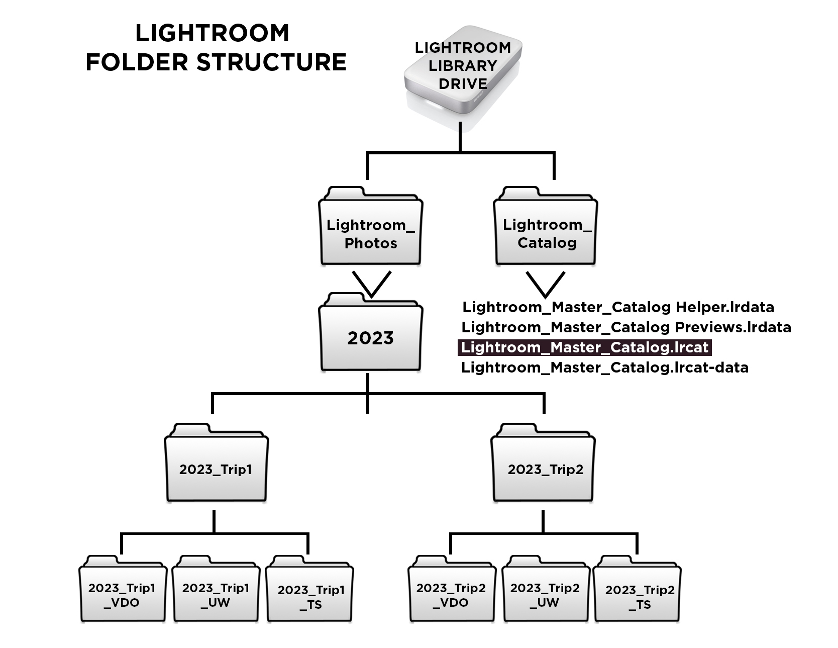 The Digital Shootout Underwater Imaging Workshop - Underwater ...
