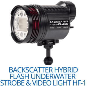 Backscatter Hybrid Flash - HF-1 - Underwater Strobe & Video Light ...
