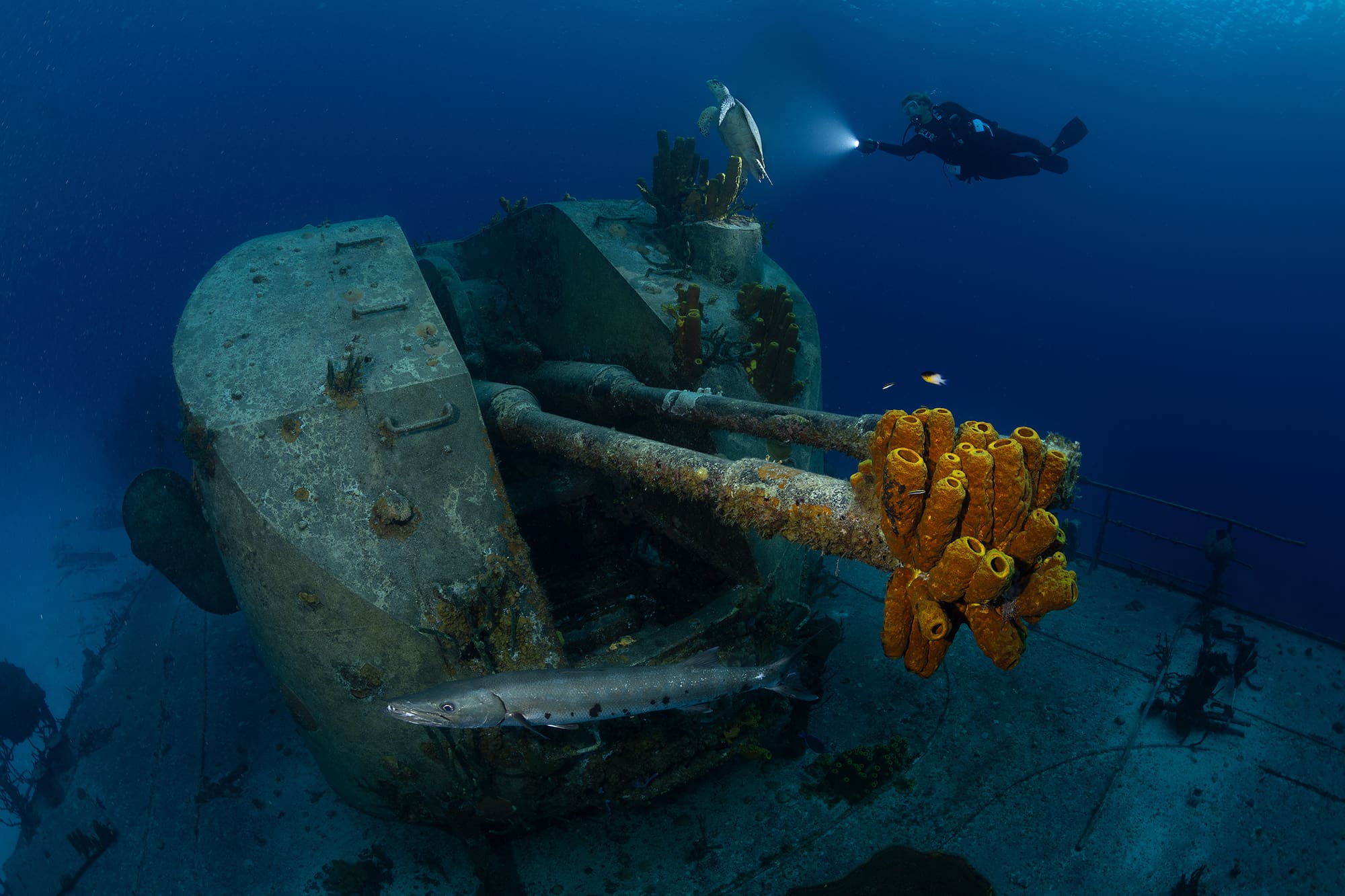 Backscatter Hybrid Flash - HF-1 - Underwater Strobe & Video Light ...