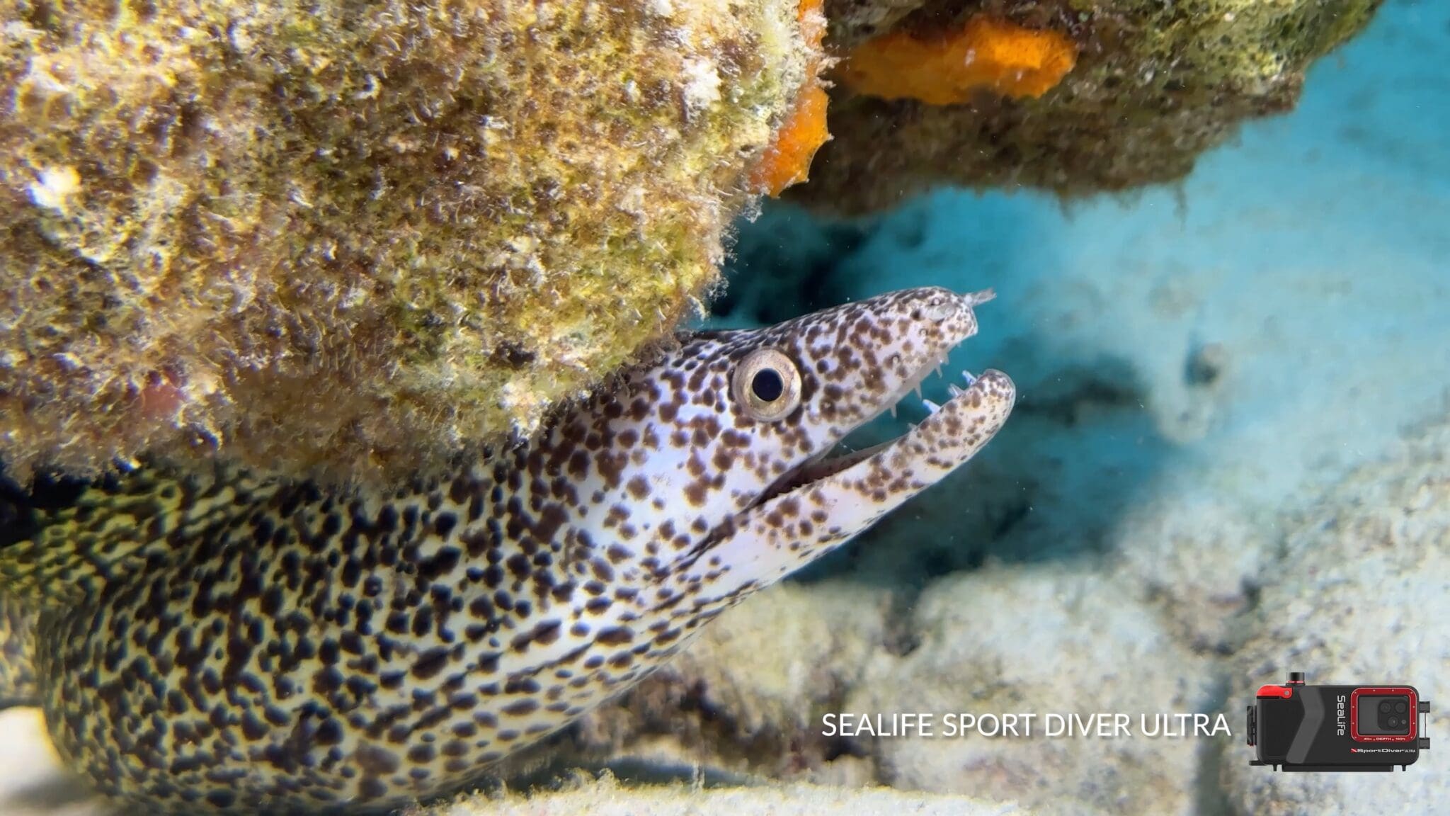 Smartphone iPhone and Android Housings Underwater Camera Review - GEAR ...